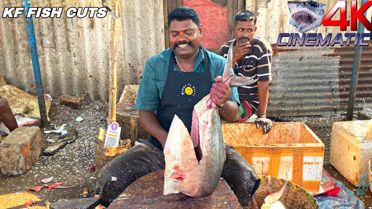 10 KG TREVALLY KNOCKOUT SPEED CUTTING🔪🔥KASIMEDU SPEED SELVAM🔪KF FISH ...