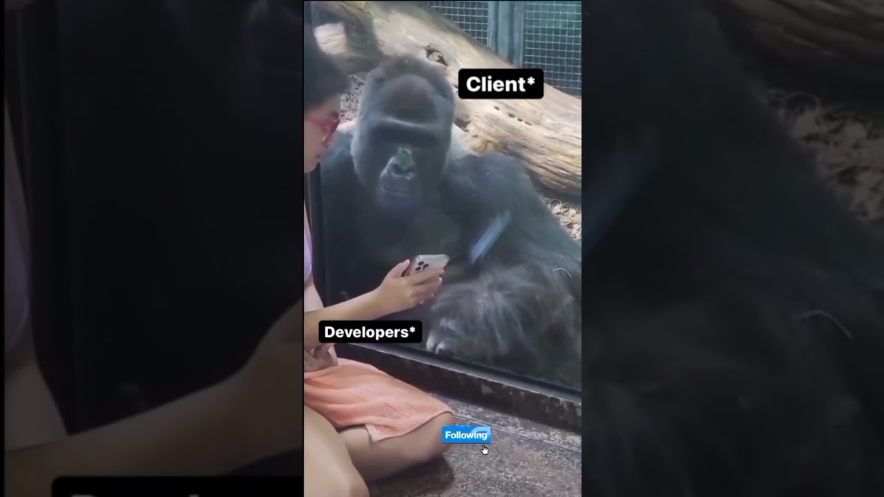 Client VS Developer 🔥 - YouTube