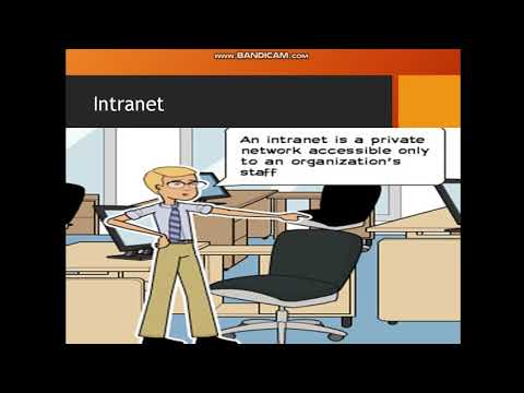 Information Technology grade 7 internet and intranet - YouTube