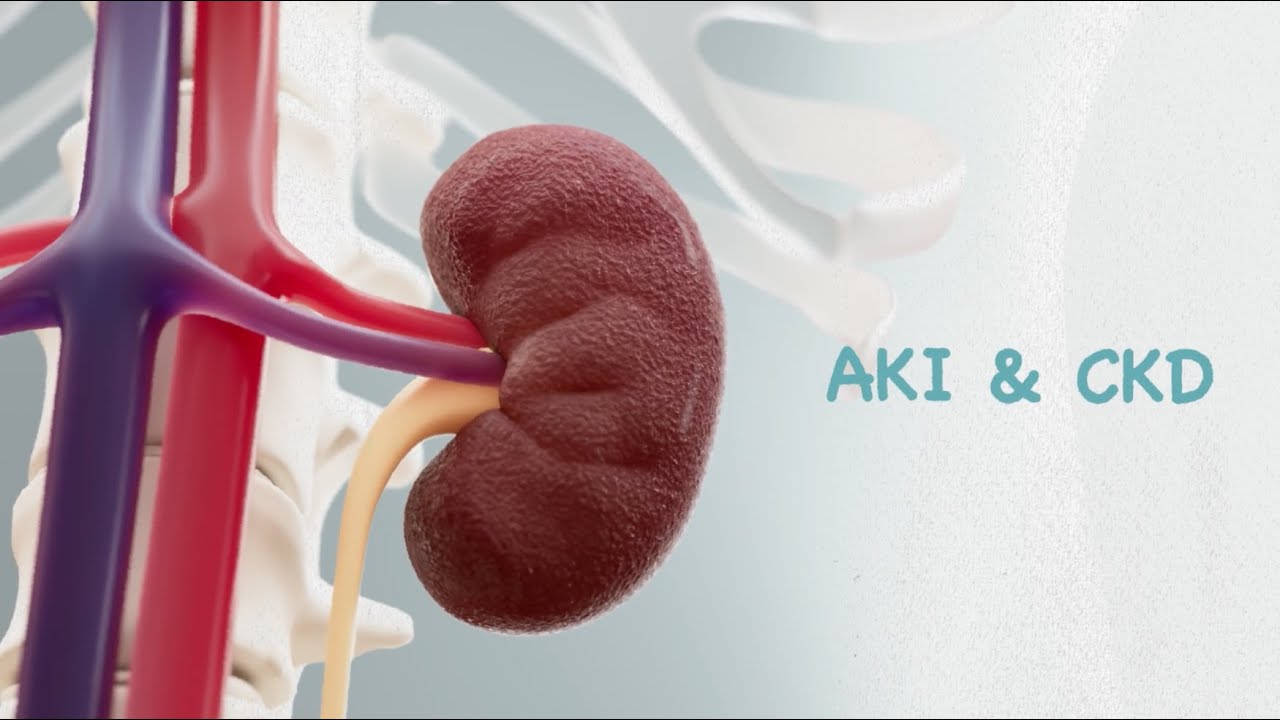 Acute kidney disease (AKI) and Chronic kidney disease (CKD) medications ...