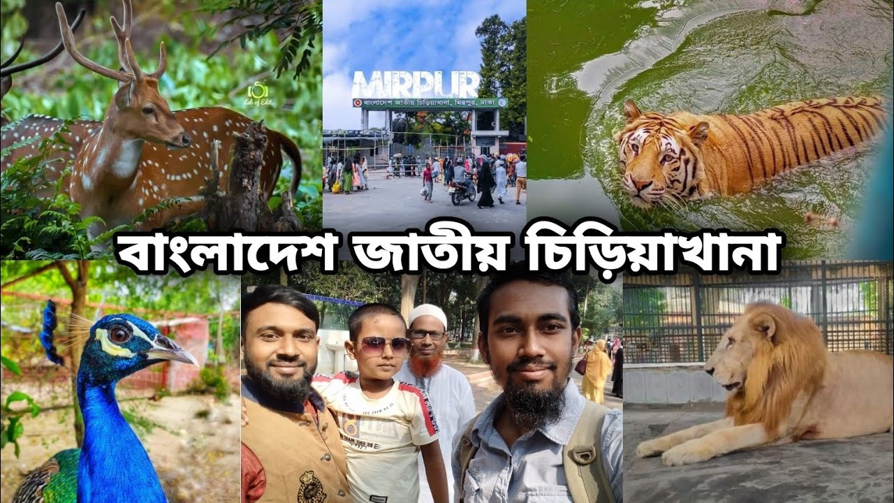 পরিবার নিয়ে চিড়িয়াখানা পরিদর্শন | Mirpur Zoo | বাংলাদেশ জাতীয় ...
