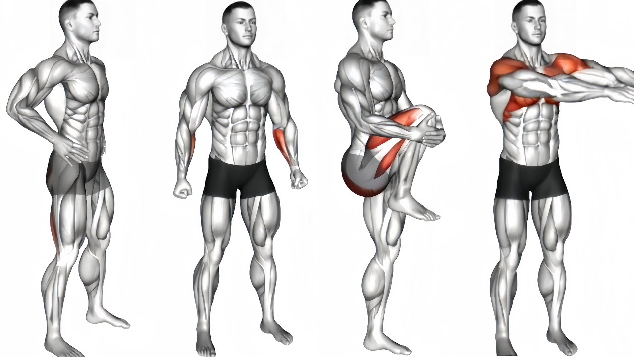 Full body Standing Stretches ( Quick and Easy) - YouTube