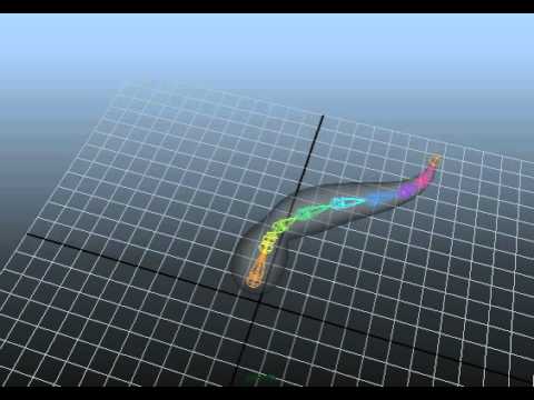 Animation Project: Tail Wave