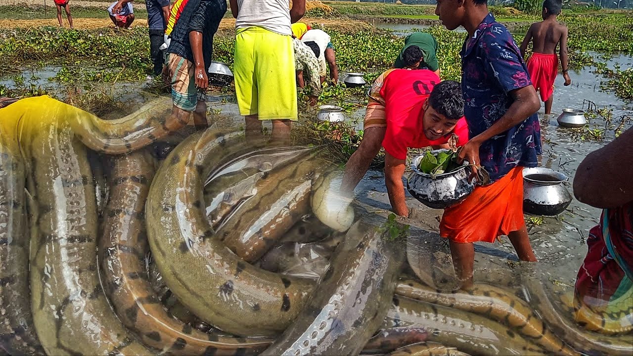 Best Baam fishing Technique|Fishing For Baam Unique Fishing video # ...