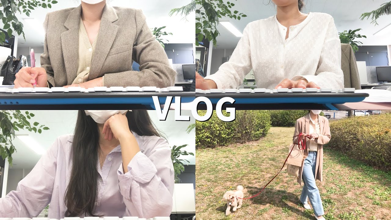 Vlog 직장인 브이로그 중소기업 사무직 경리·총무 과장 직장인 17년차의 약으로 버티는 일상 평범한 직장인의 데일리