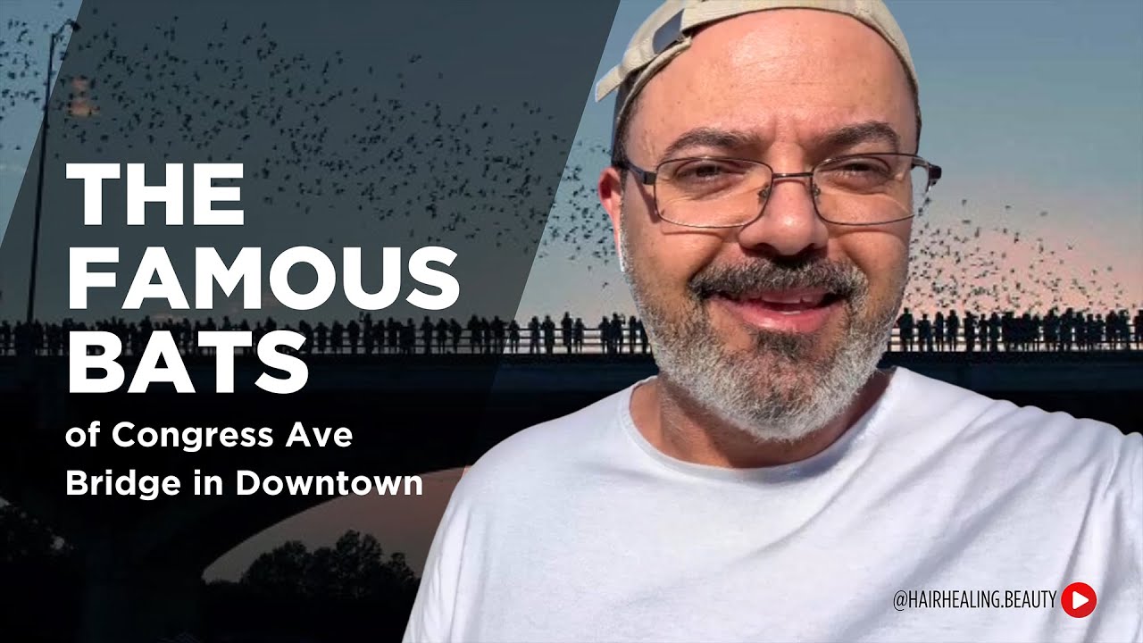 Discovering Austin - Ep. 1 - The famous bats of Congress Ave Bridge in ...