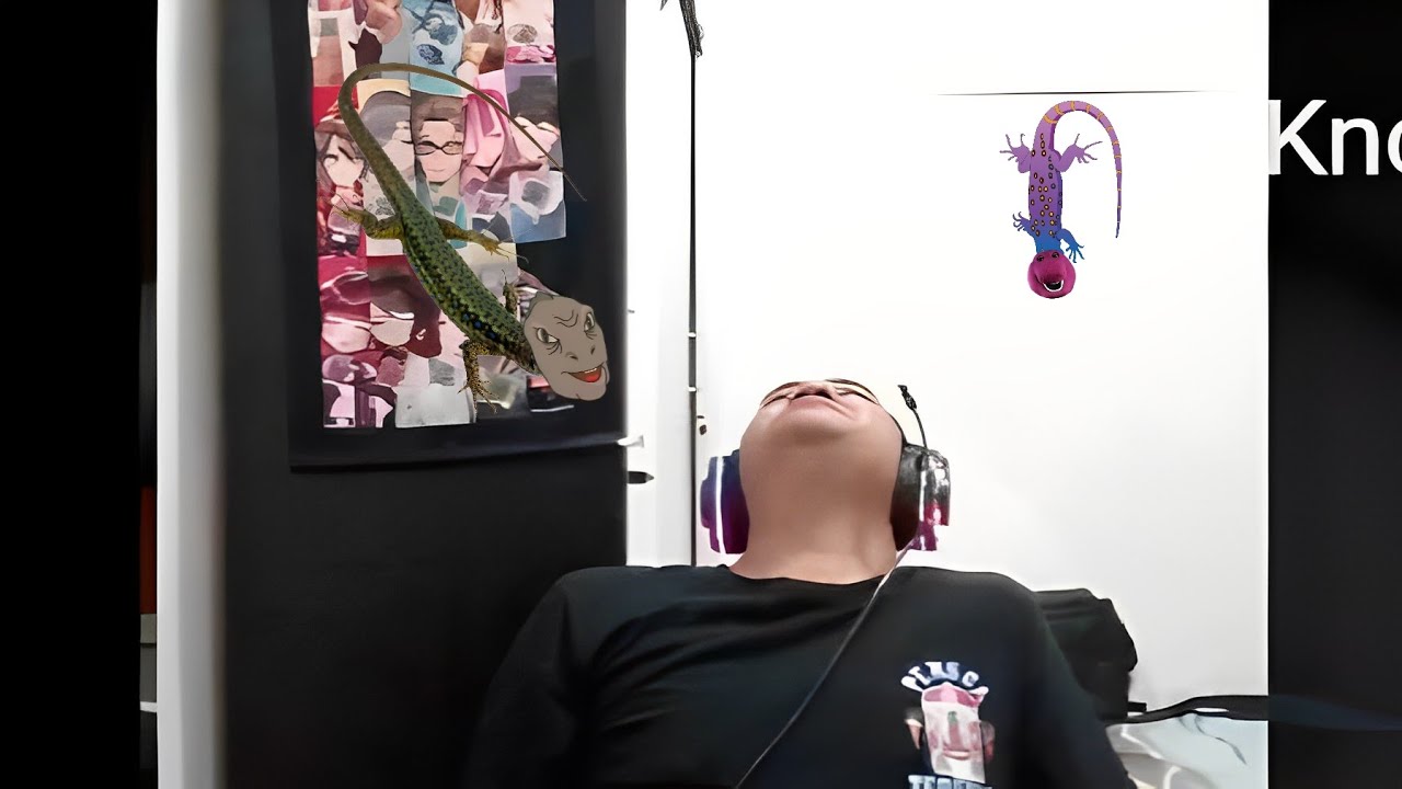 KADAL NYURUH CICAK KAYANG - YouTube