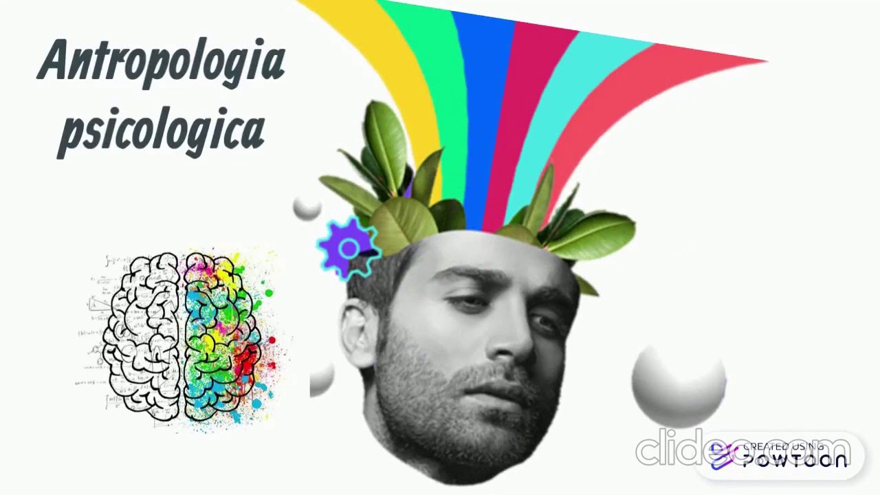 Clasificación de la Antropología. - YouTube