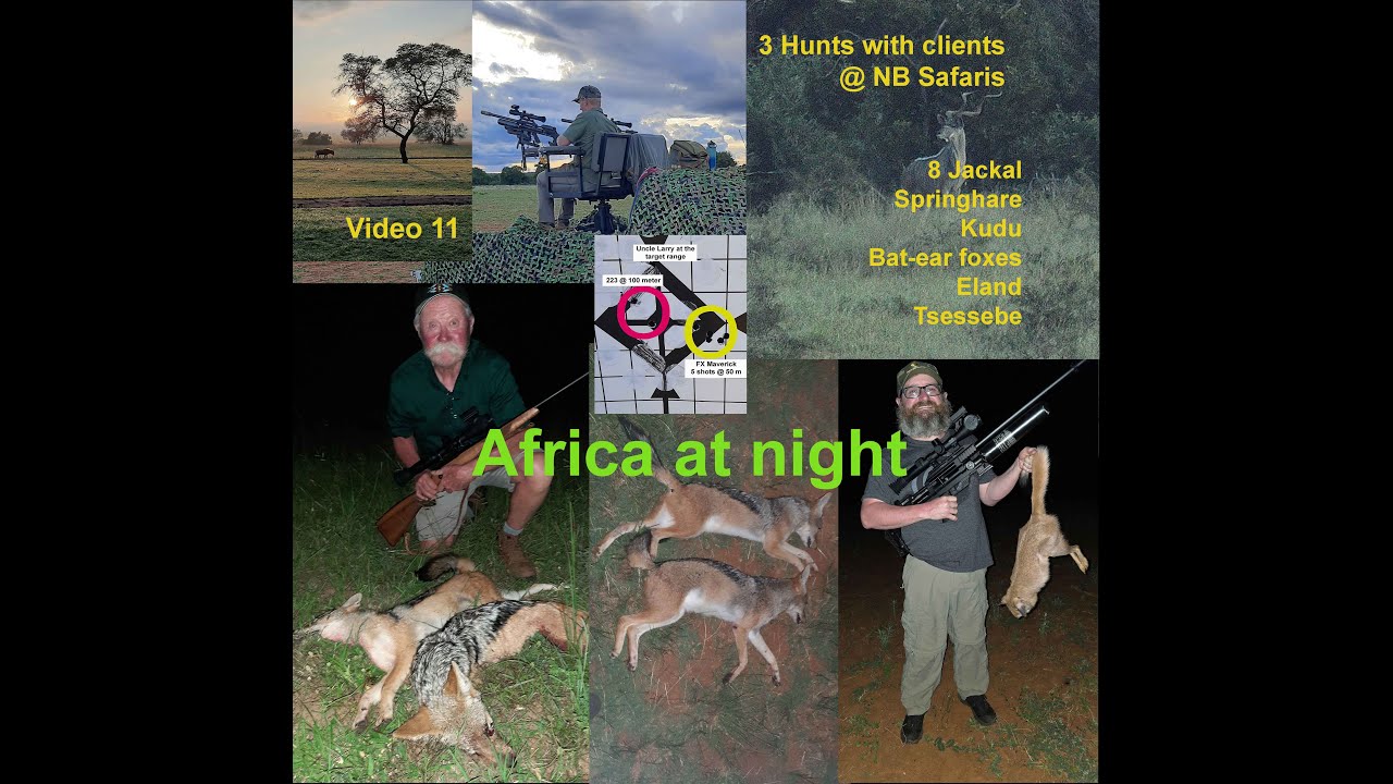 Hunting jackal and springhare with clients at night in South Africa ...