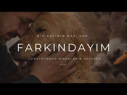 Farkındayım: Bir Patinin Nesi Var? 32 Sanatçı ile Yürüyorum Dikenlerin Üstünde