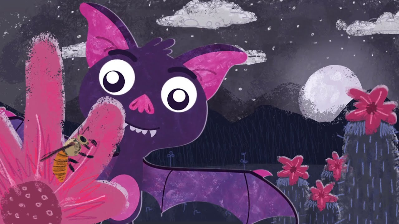 CUENTO DE LOS MURCIELAGOS PARA NIÑOS l La Noche de los Chimbilas - YouTube