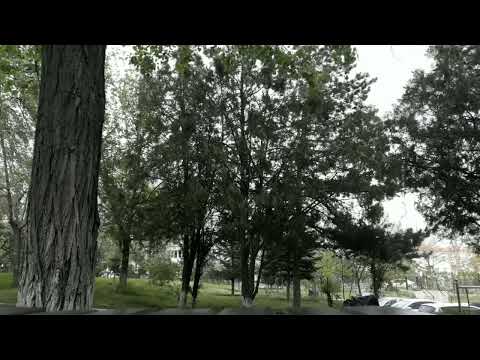 Açık Seçik Aşk Bandosu - \