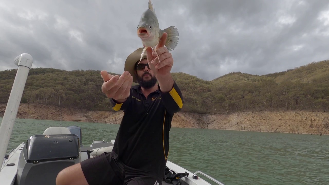 How to catch Golden Perch: Episode 3 Using sounders to locate and catch ...