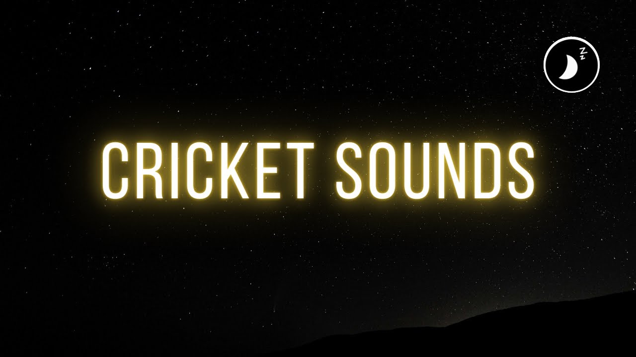 Cricket sounds in a jungle setting - YouTube