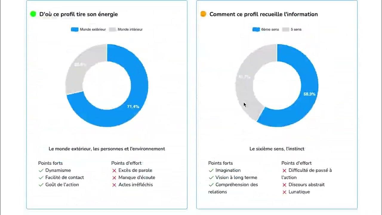 Aperçu résultats analyse test de personnalité Trimoji - YouTube
