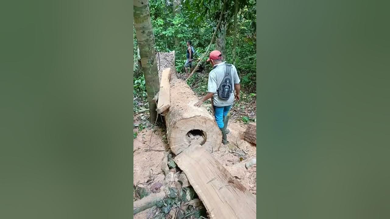uji nyali tembus tengah hutan penasaran ada apa disana - YouTube
