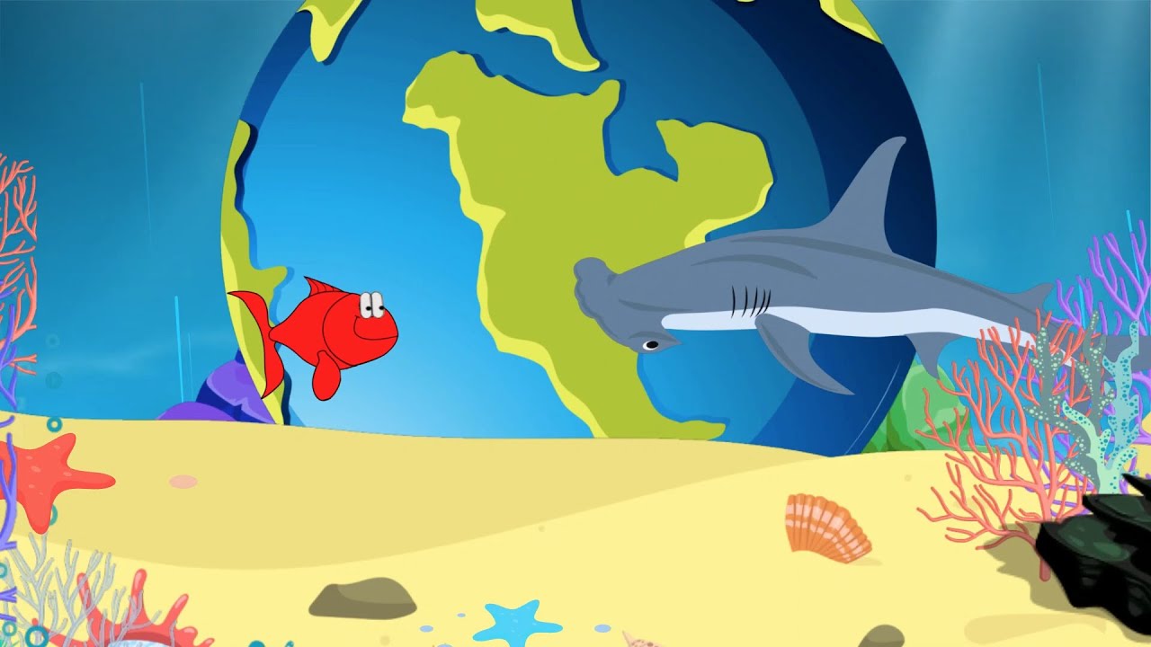 Kirmizi Balik Ve Cekic Basli Kopek Baligi / Kirmizi Balik Su Alti ...