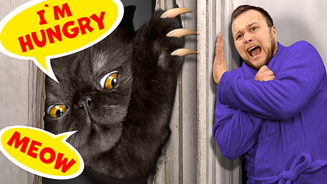 How To Make Creepy Cat Crafts Ӏӏ Watch These Cats React! - YouTube