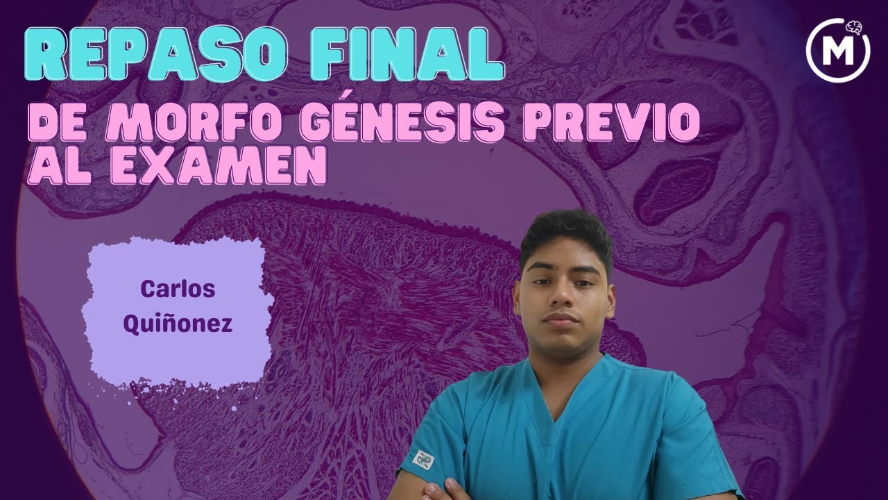 META REPASO GENERAL GENESIS I CARLOS QUIÑONEZ - YouTube