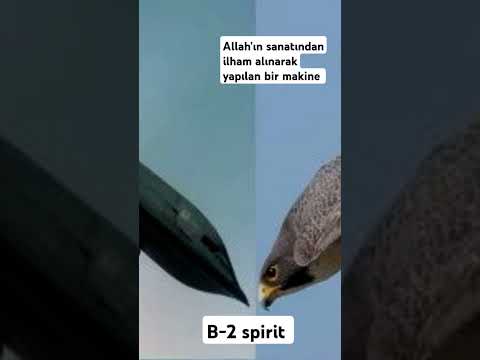 B-2 spirit ağır bombardıman uçağı ve şahin arasında ki benzerlik ilginç #özgürusta #B-2spirit #şahin