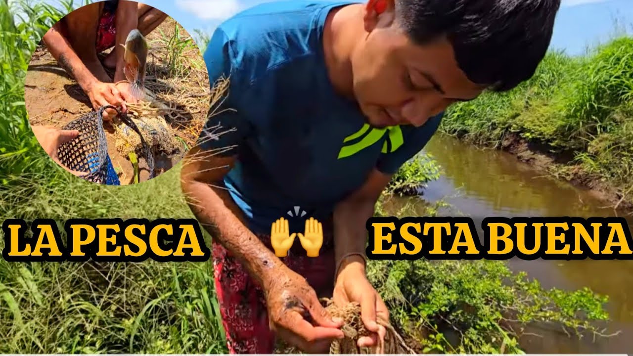 Nos Encontramos Con Una Gran Bendición de CHACALINES 🦐 - YouTube
