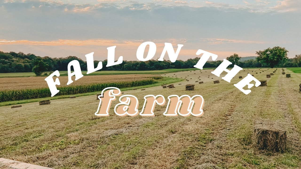 Let's talk fall to-do's on the farm & put up some hay! - YouTube