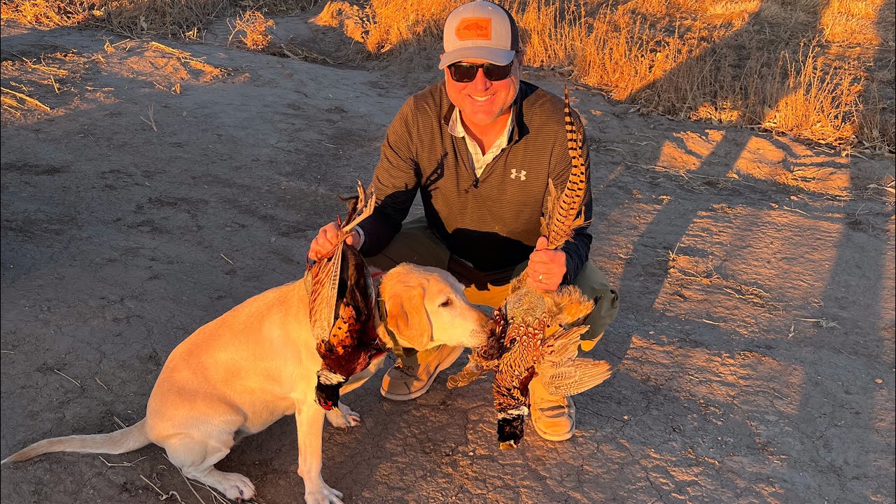 First Bird Hunting Trip of the 2021 Season - YouTube