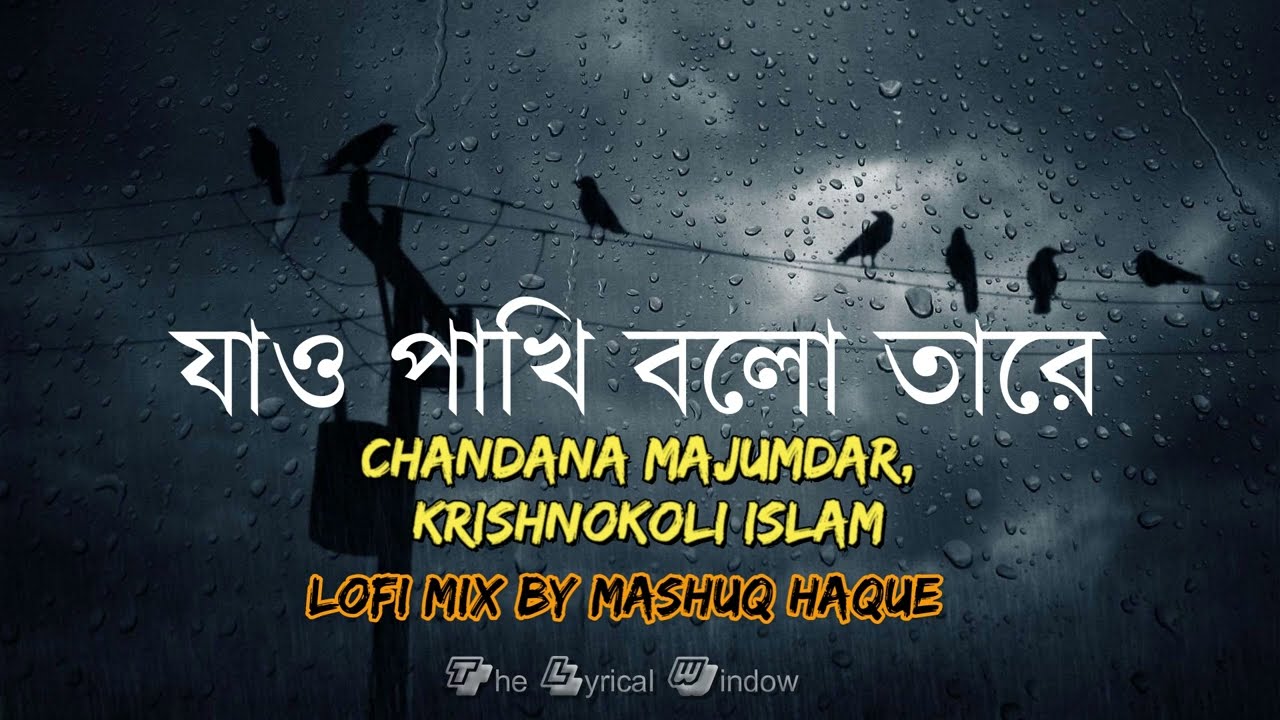 Jao Pakhi Bolo Tare(Lyrics)|| Lofi mix _Mashuq Haque - YouTube