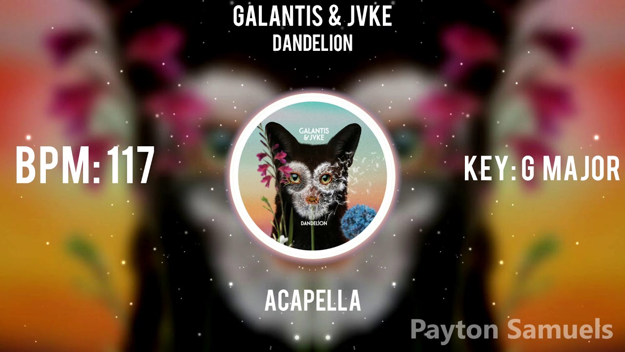Galantis & JVKE - Dandelion (Acapella) - YouTube