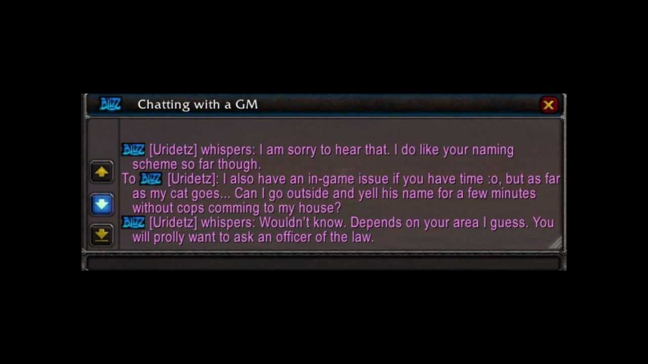 GM Chat Lost Cat YouTube gm-chat-lost-cat-youtube