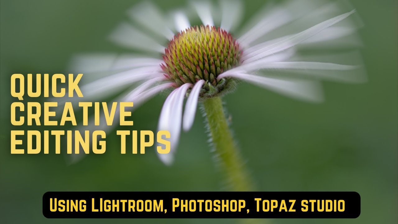 Make some quick edits to your flower photos for a creative final work ...