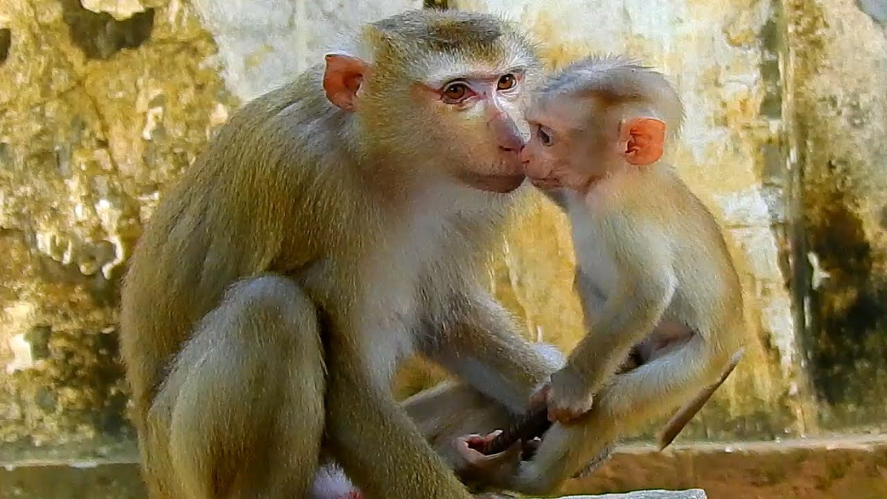 Good job baby! So adorable Lucie kiss her mother and asking for nurse ...