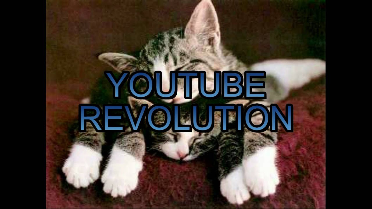LET'S START A YOUTUBE REVOLUTION! - YouTube
