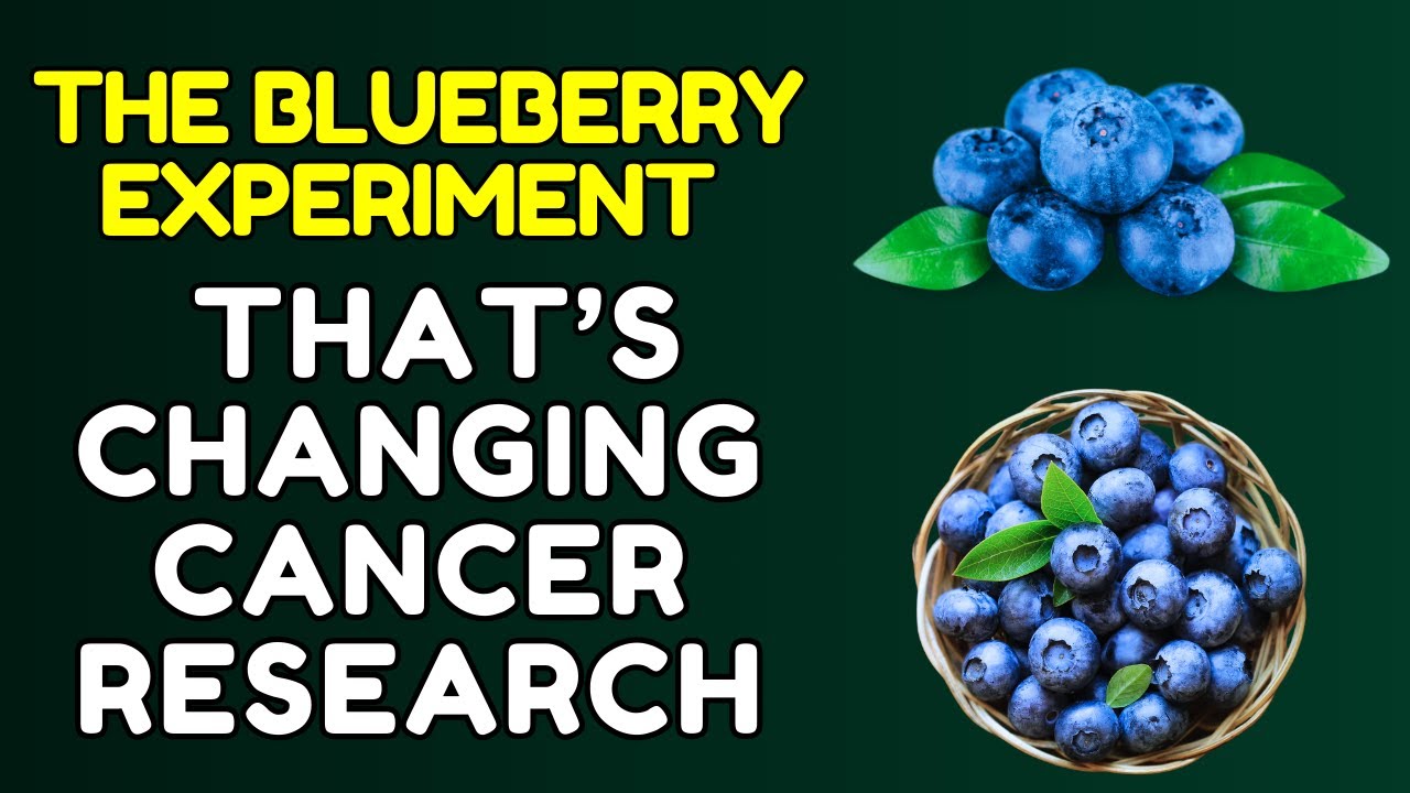 The Blueberry Experiment That’s Changing Cancer Research - YouTube