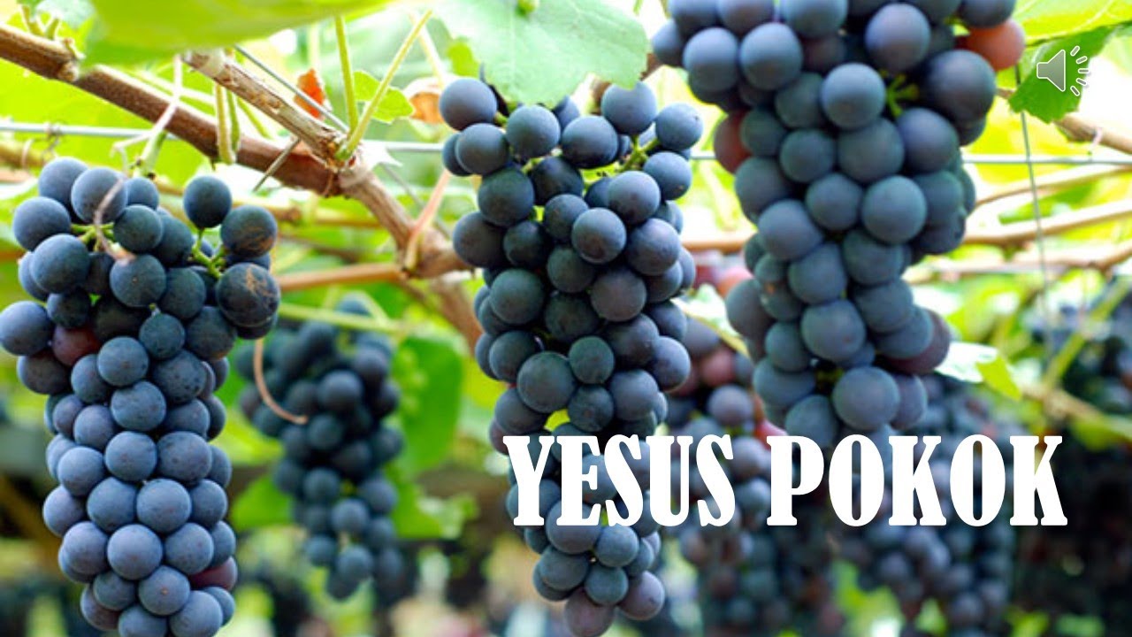 LAGU PUJIAN | YESUS POKOK | KARAOKE - YouTube