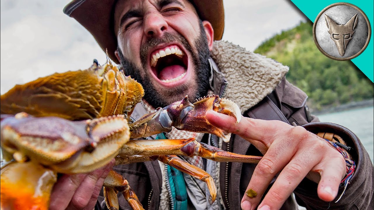PINCHED By A HUGE CRAB YouTube