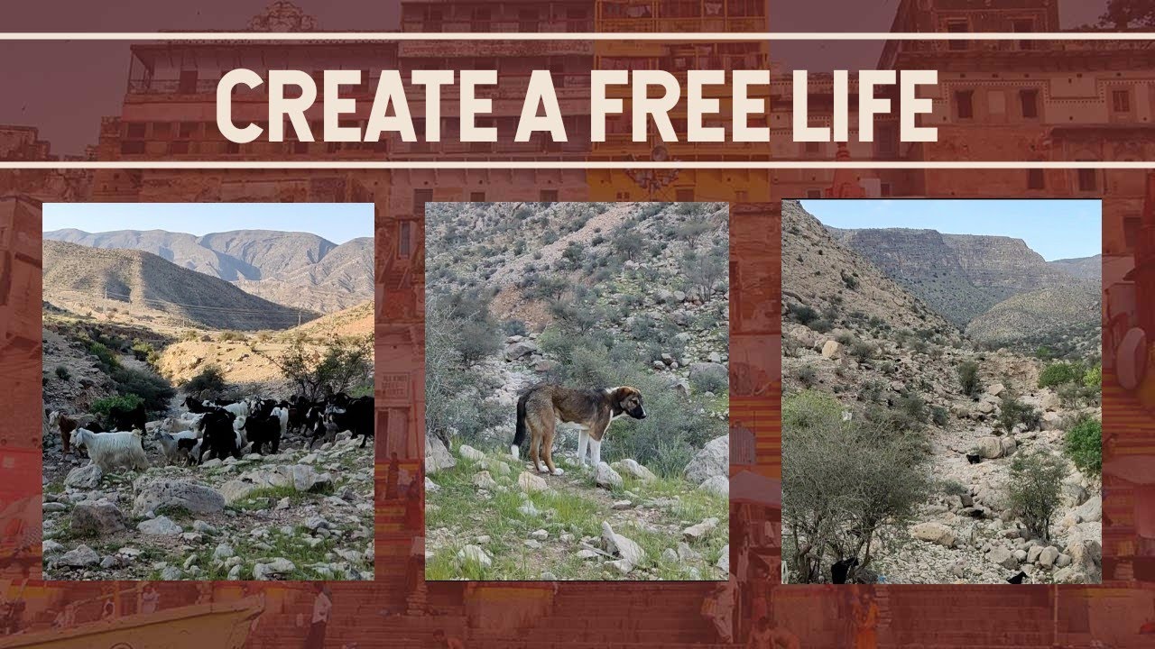 free life: free life.A way to create an endless and free life - YouTube