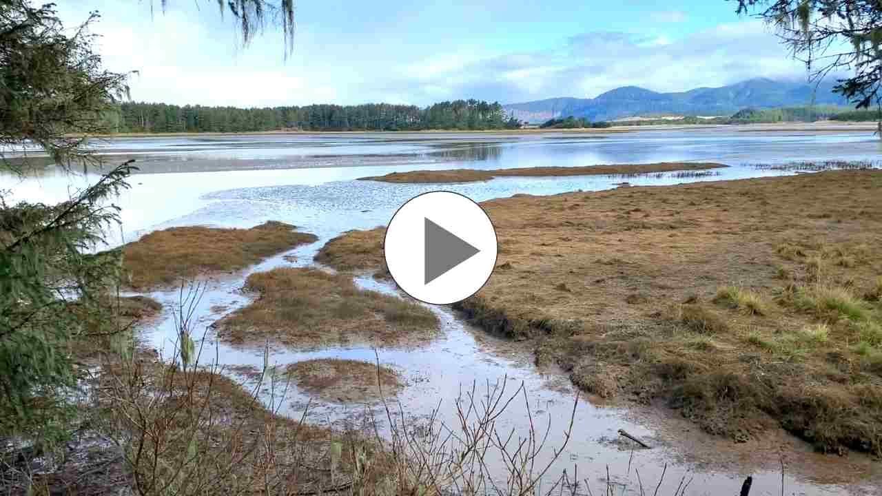 Sitka Sedge Natural Area Oregon - Adventure Guru - YouTube