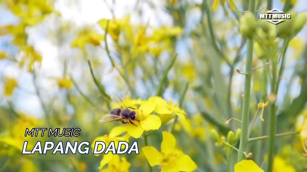 LAPANG DADA (ACOUSTIC ORIGINAL RELIGION SONG) OF MTT MUSIC - YouTube