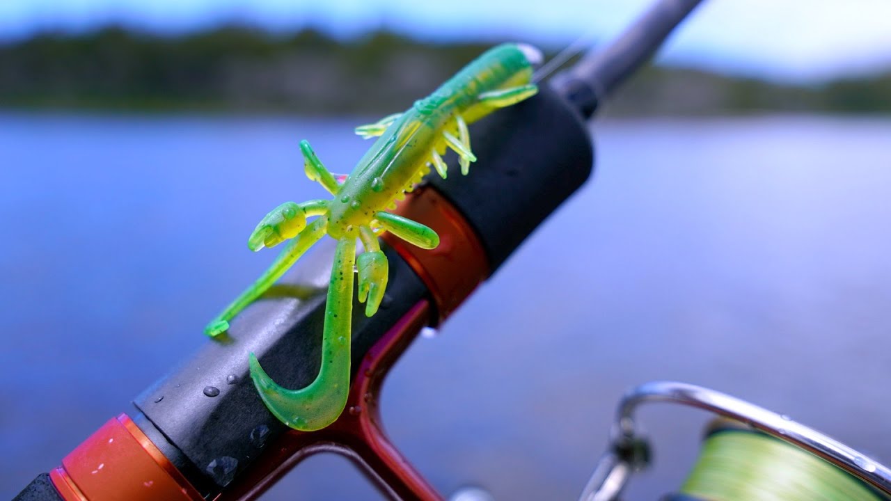 Is this the BEST Creature Bait? Daiwa Risky Critter Review - YouTube
