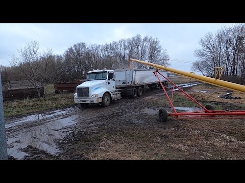 Playing In The Mud and Shipping Out Corn! - YouTube