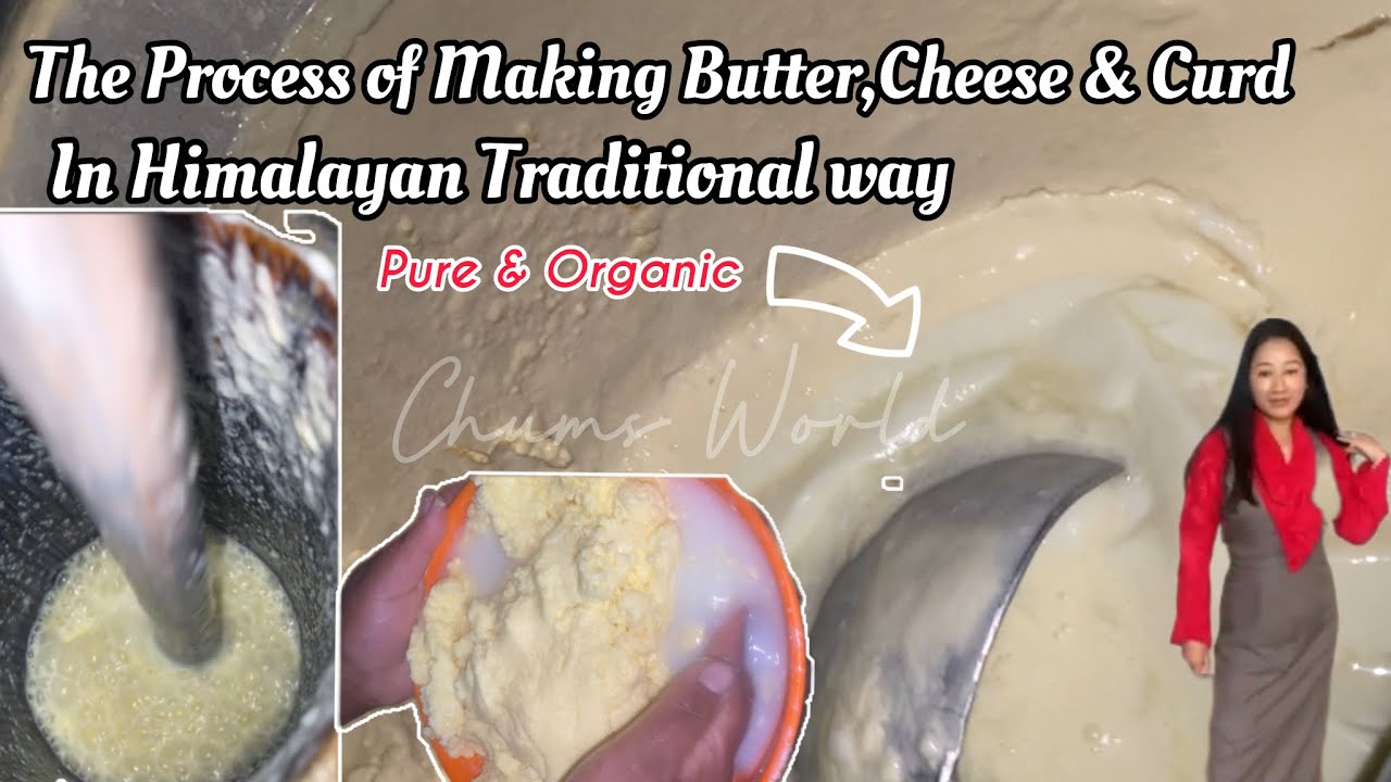 Process of Making Pure Organic Butter ,Cheese and Curd in Himalayan ...