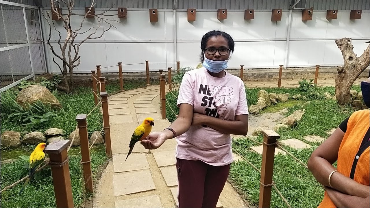 Yercaud Peeku's bird park Tamilnadu . - YouTube