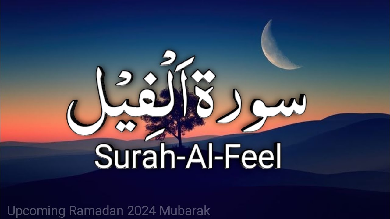 Surah Al Feel Tilawat | Quran Recitation - YouTube