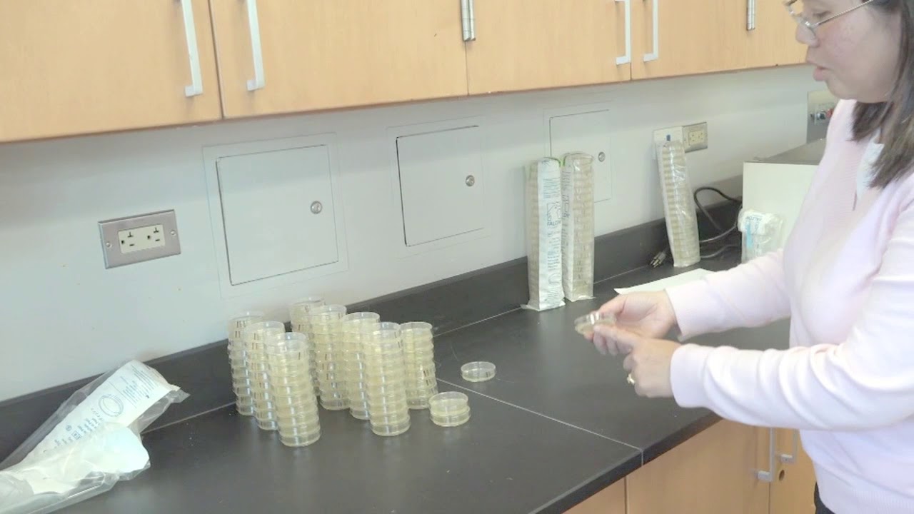 Storing and Testing Plates - YouTube