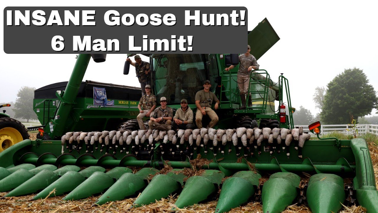 INSANE, MUST SEE Goose Hunt! 60 Geese In 1 Hour! September 2022 - YouTube