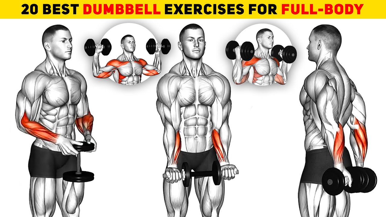 20 Best Dumbbell Exercises for Full Body Muscle Growth - YouTube
