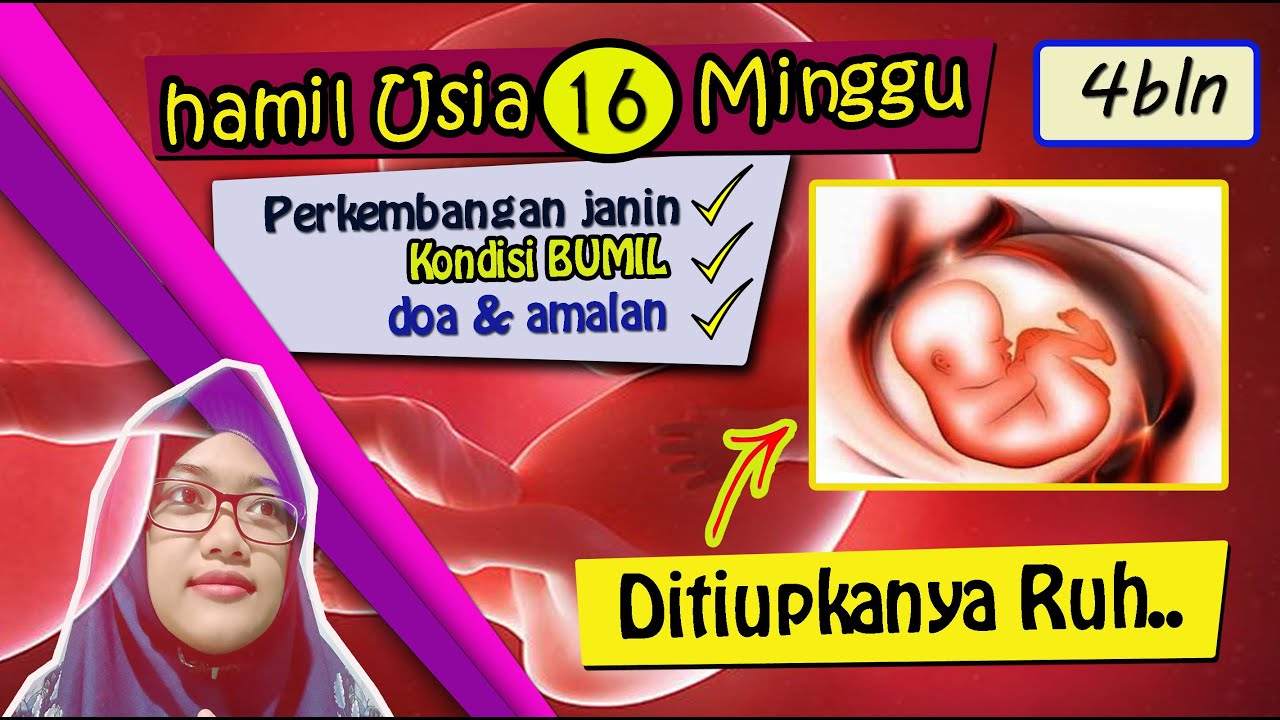 Usia kandungan 16 minggu ( 4 bulan kehamilan) perkembangan janin dan ...
