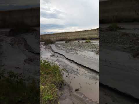 Oguz Rayon DASUZ kendi