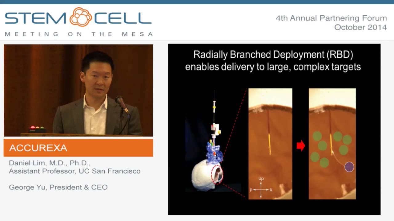 Accurexa - Company Presentation - YouTube